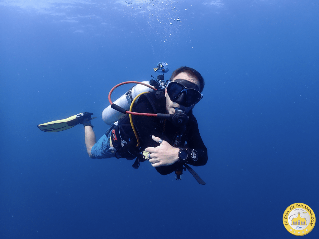 Buceo en la isla Phi Phi: ¡6 mejores lugares para bucear! - TU GUÍA EN ...